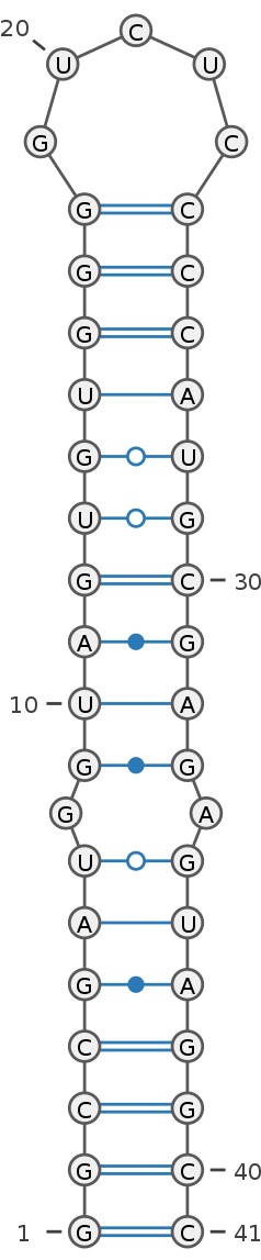 bpRNA: RNA Secondary Structure Database