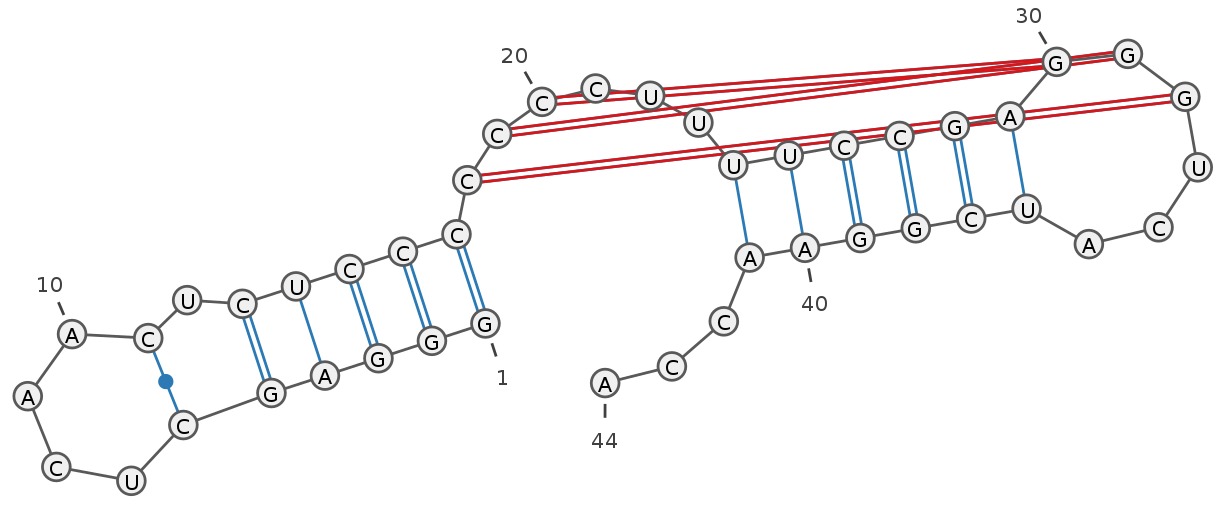 bpRNA: RNA Secondary Structure Database